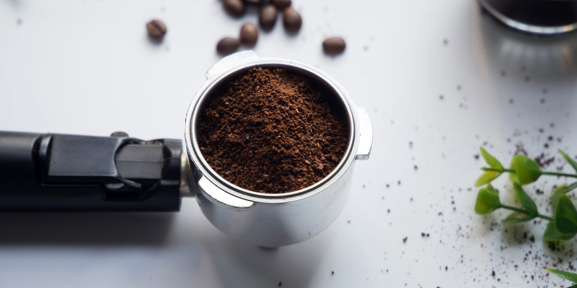 Meet The Team - Fika NYC